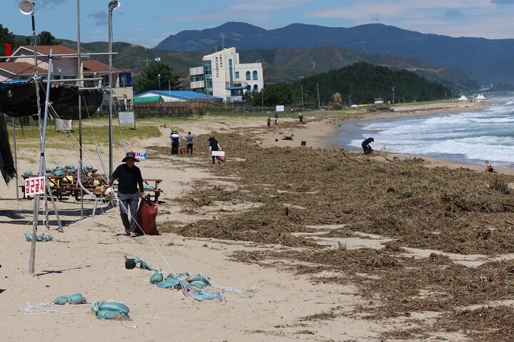 동해시, 태풍 카눈 피해 신속한 복구 '구슬땀'