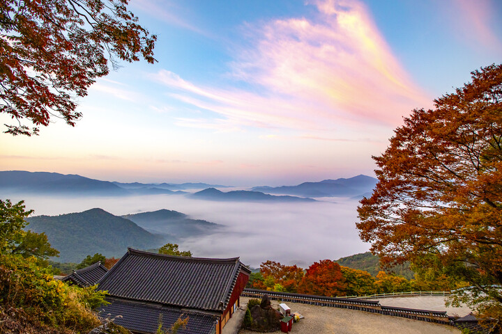 운해(雲海)를 품은 '곡성 천태암' 사진전